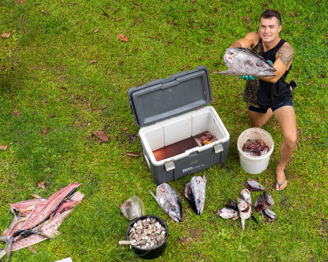 Fish Guts - Sharks Pacific